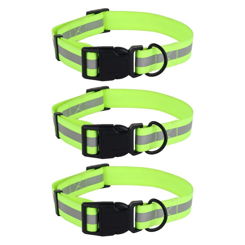 Reflective Collars | Anarjy